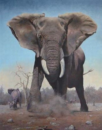 Charging Elephant Drawing